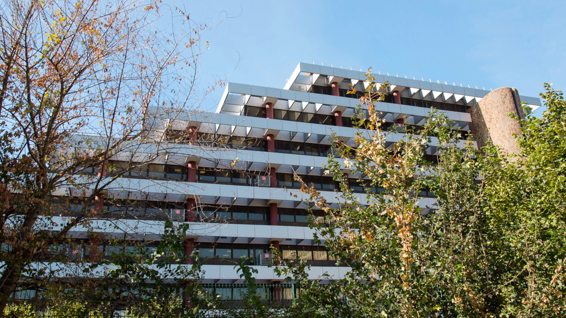 Sciences de l'éducation, sciences sociales et Staps